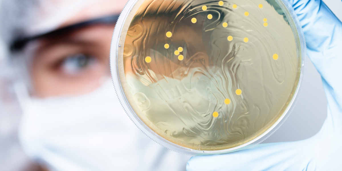 SHEBAH BIOTECH Inc.